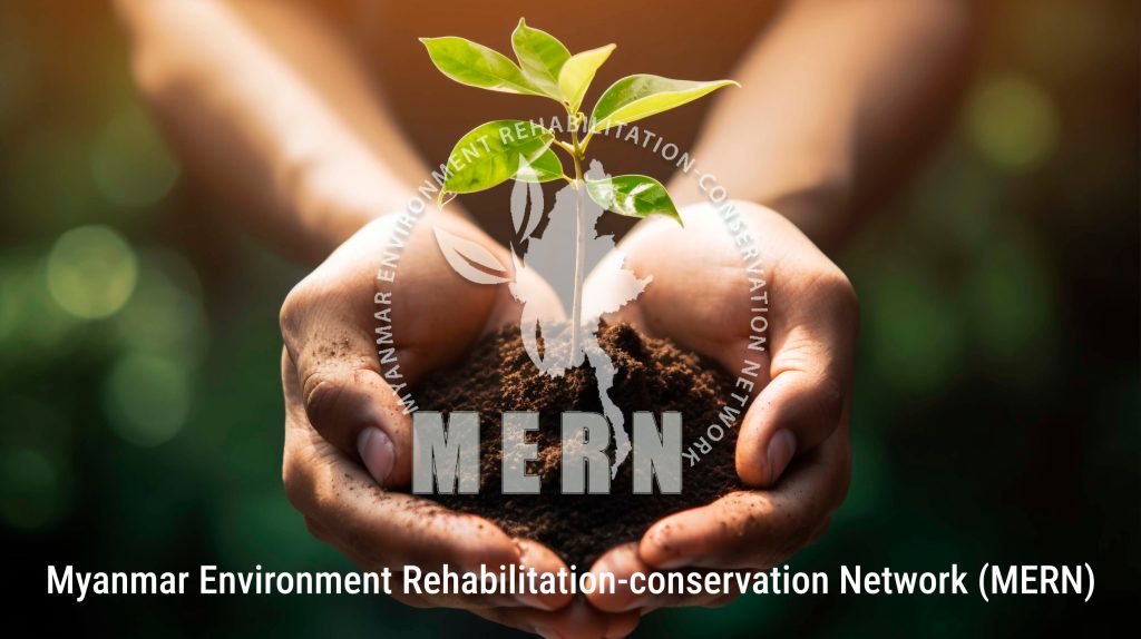 Formation of MERN | MERN Myanmar