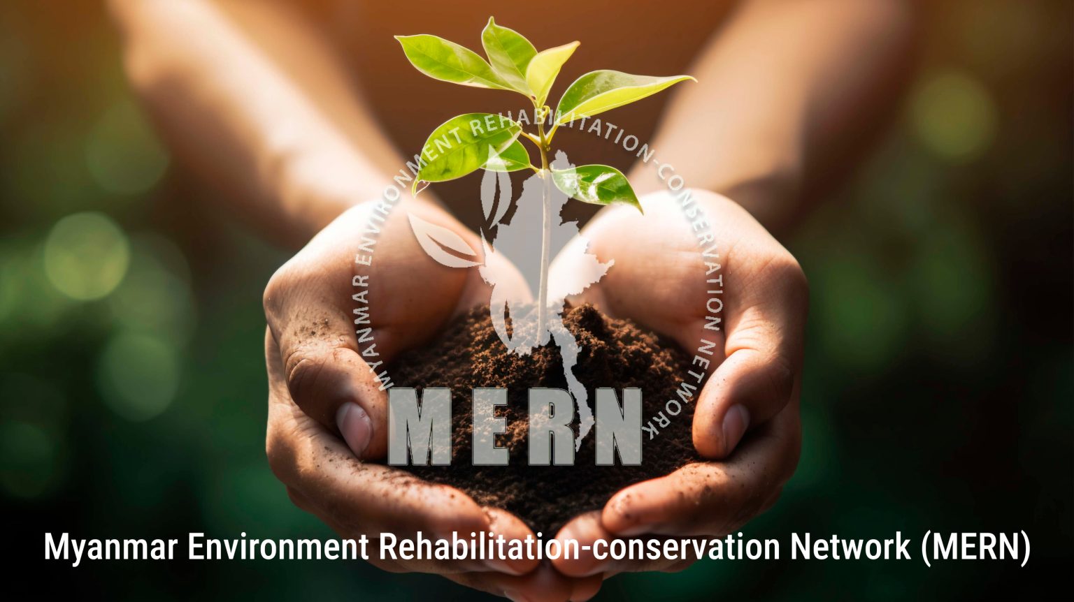 Formation of MERN | MERN Myanmar